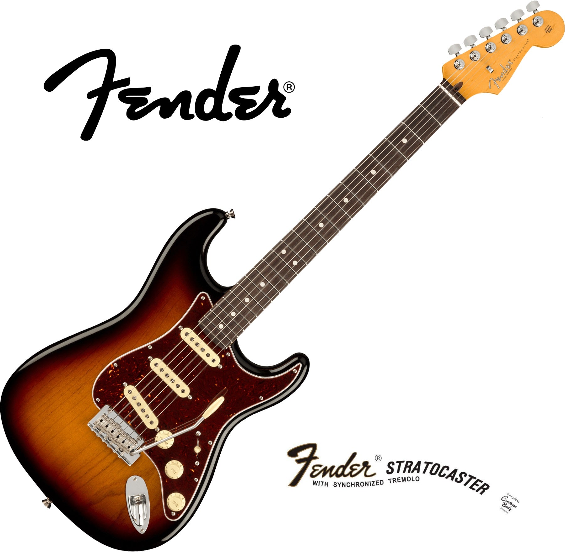 Fender Stratocasters – Kingdom Music